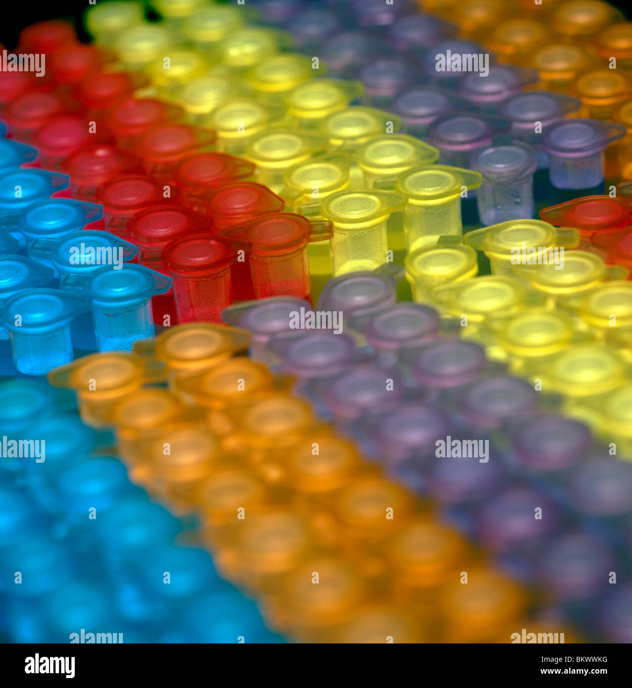 Human cell storage at biomedical research and development laboratory ...