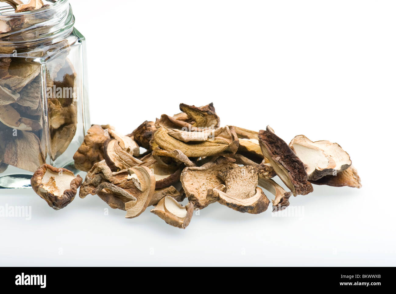 Porcini fungi hi-res stock photography and images - Alamy