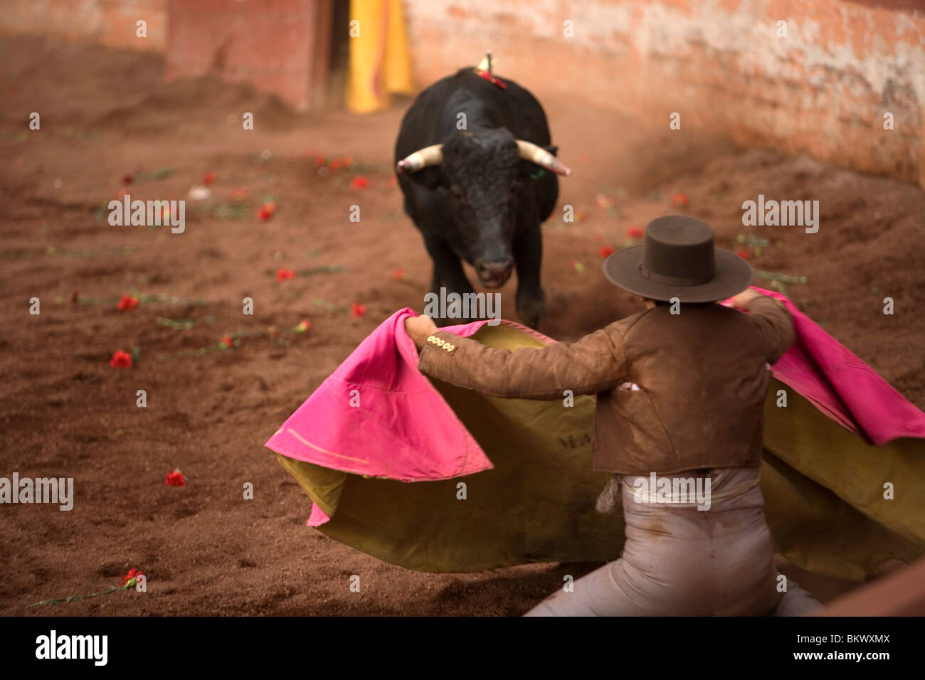 Bull fighting arena hi-res stock photography and images - Alamy