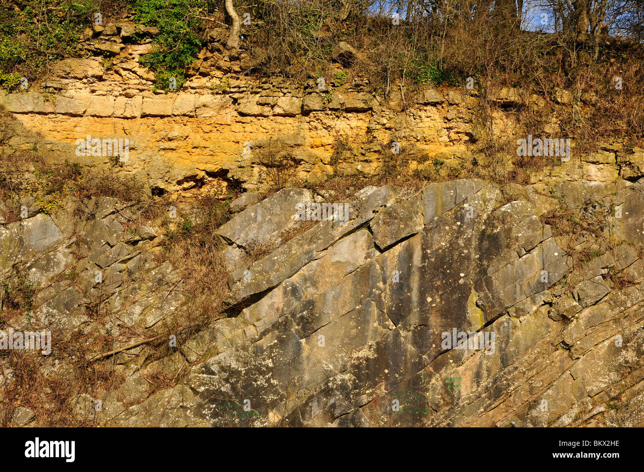 De la Beche geological unconformity Yellow inferior Oolite Limestone ...