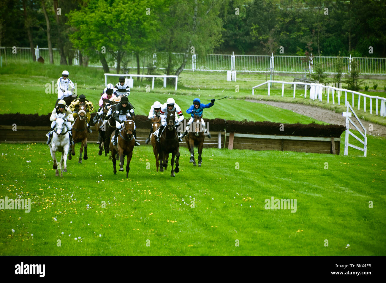 steeplechase horse race final sprint Stock Photo - Alamy