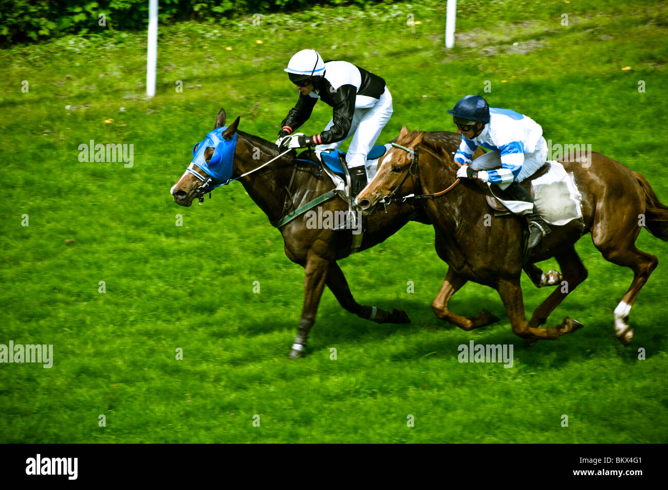 Sprint To The Finish High Resolution Stock Photography and Images - Alamy