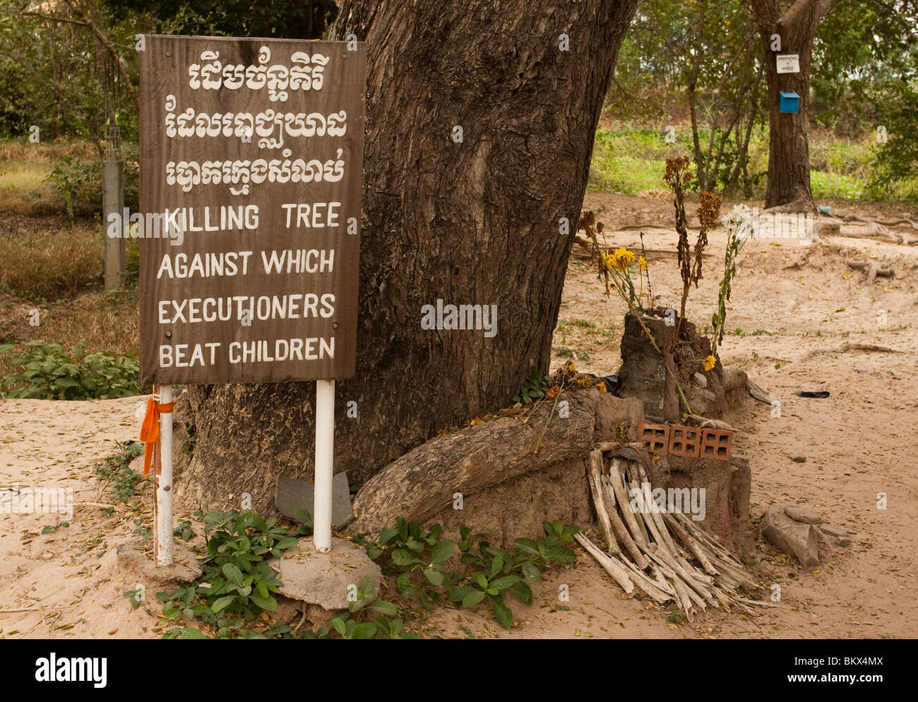 The killing Tree at Choeung Ek in Phnom Penh, where political prisoners ...