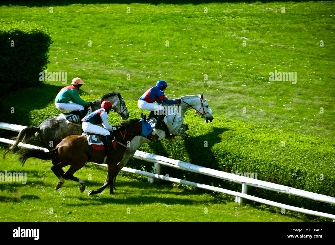 Steeplechase horse race hi-res stock photography and images - Alamy