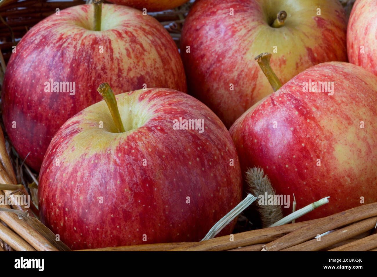 Appples hi-res stock photography and images - Alamy