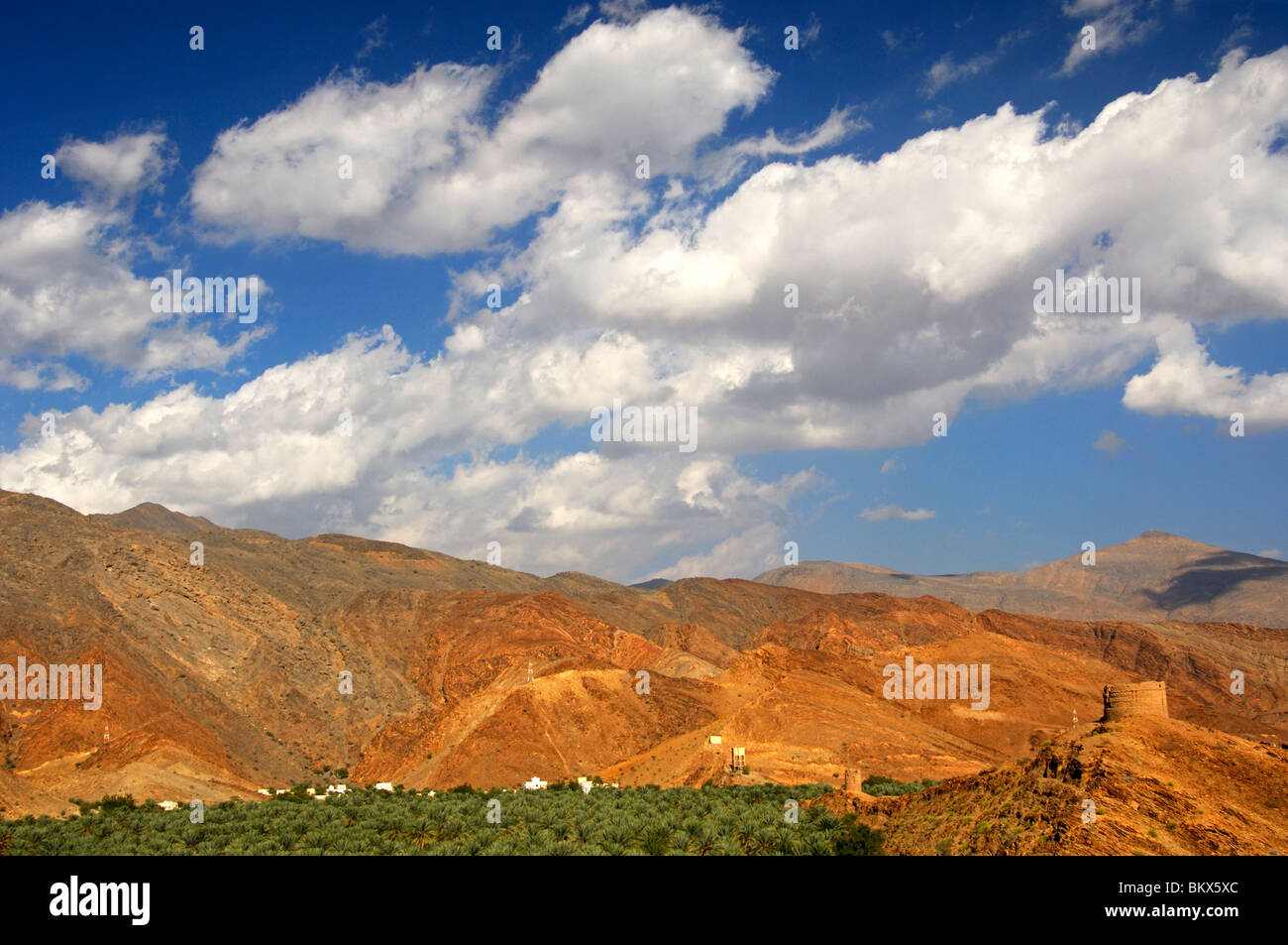 Plantation of date palm trees at the foot of the barren Hajar mountains ...