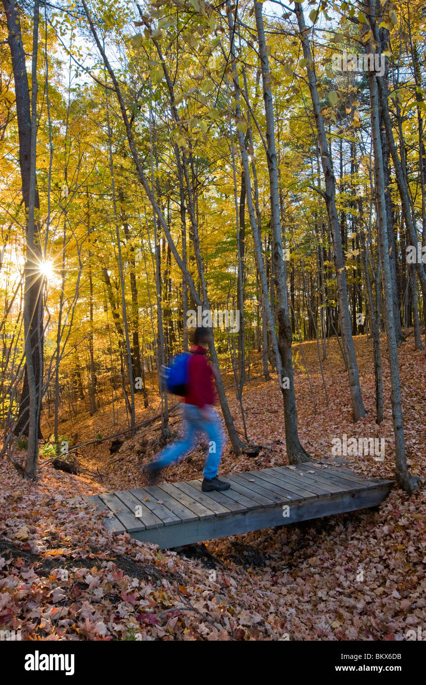 Portland maine fall hi-res stock photography and images - Alamy
