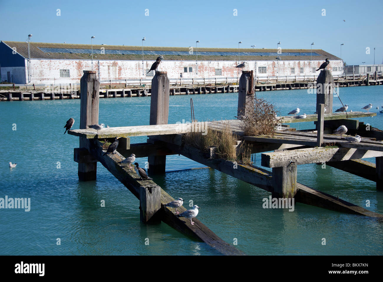 Derelict fishing quay hi-res stock photography and images - Alamy