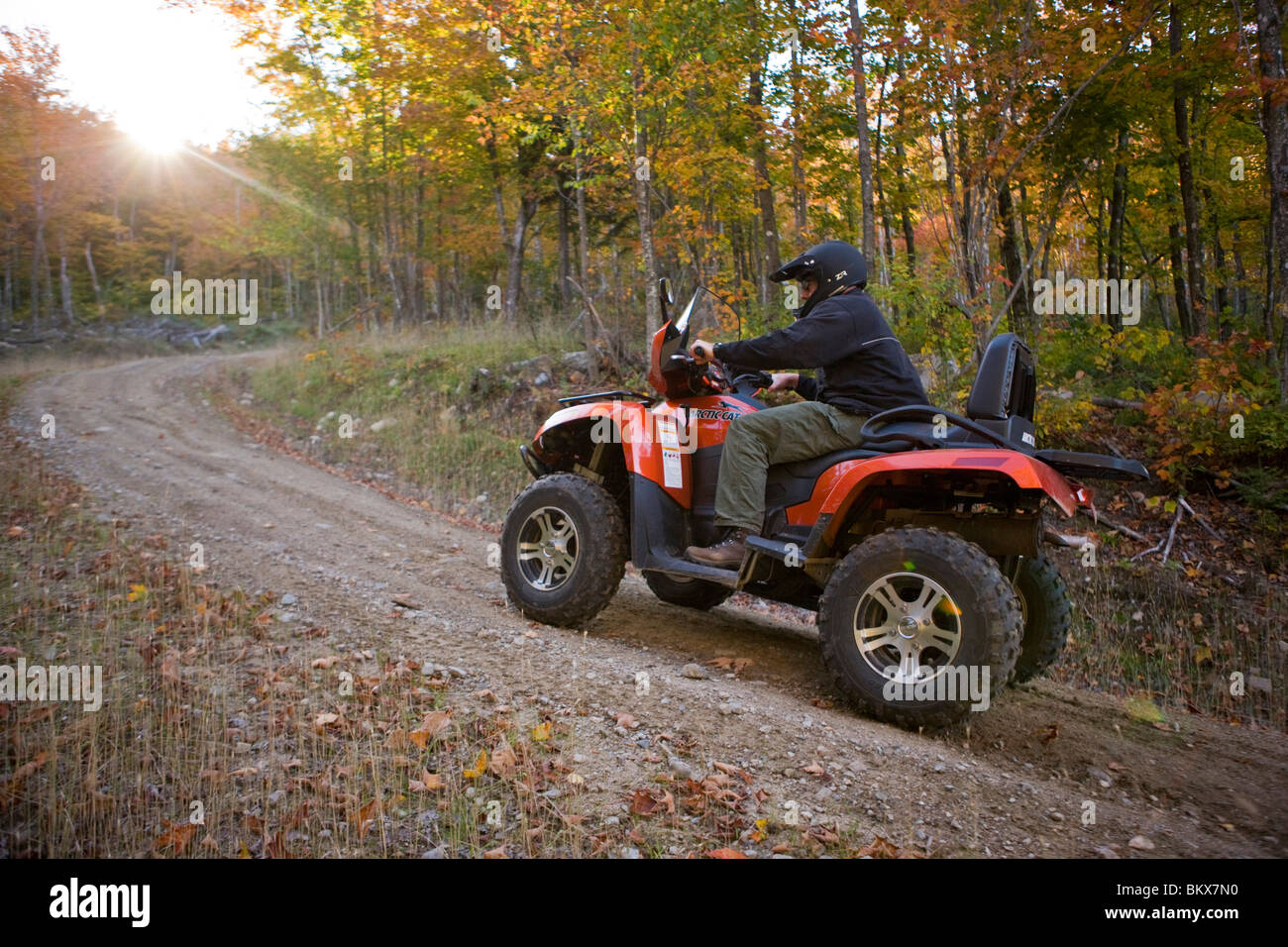 Berlin state park hi-res stock photography and images - Alamy