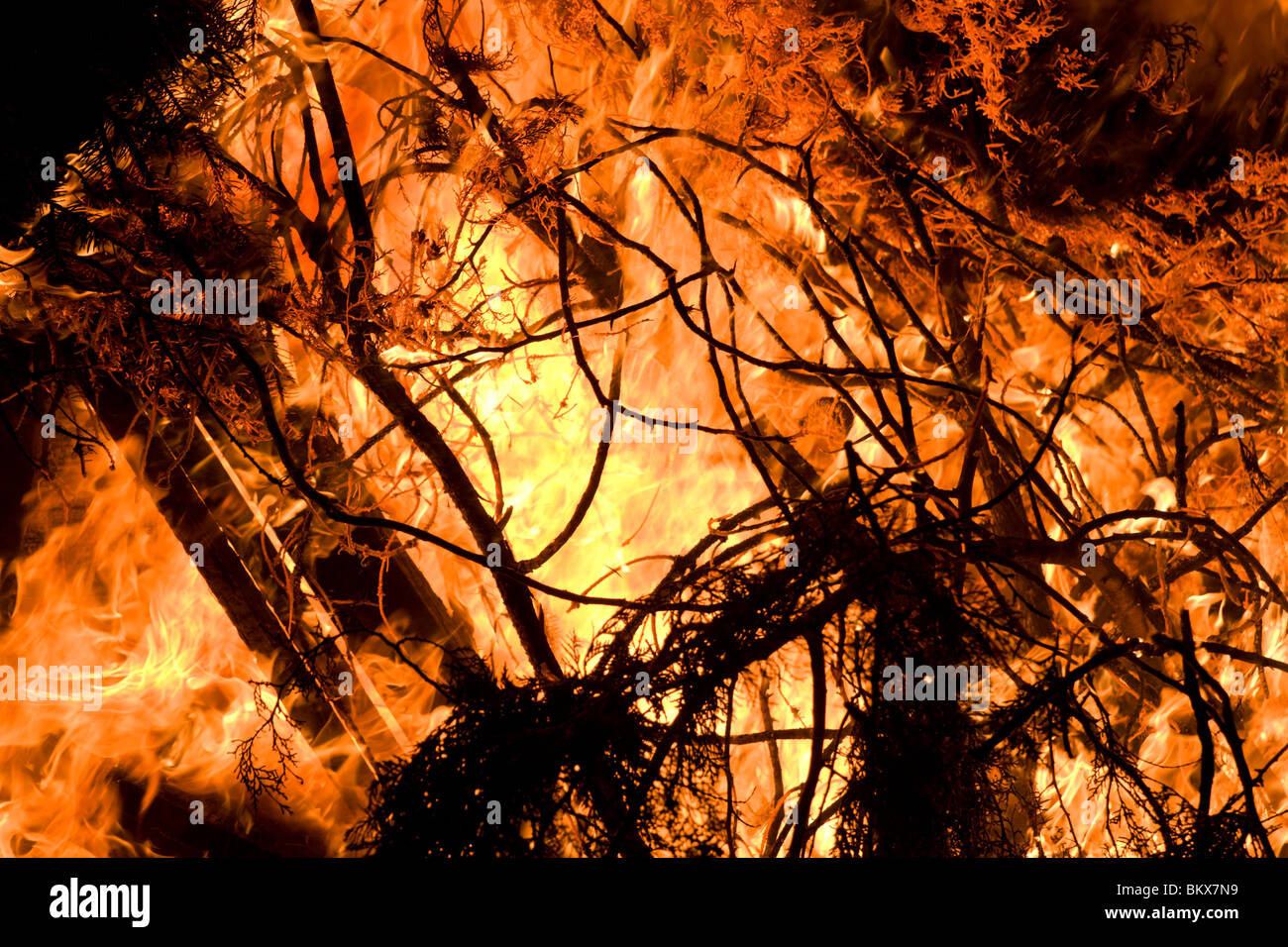 Closeup blazing fire dry forest hi-res stock photography and images - Alamy