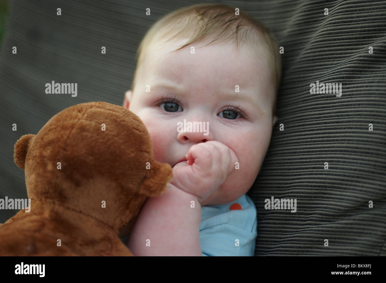Baby birth teddy hi-res stock photography and images - Alamy