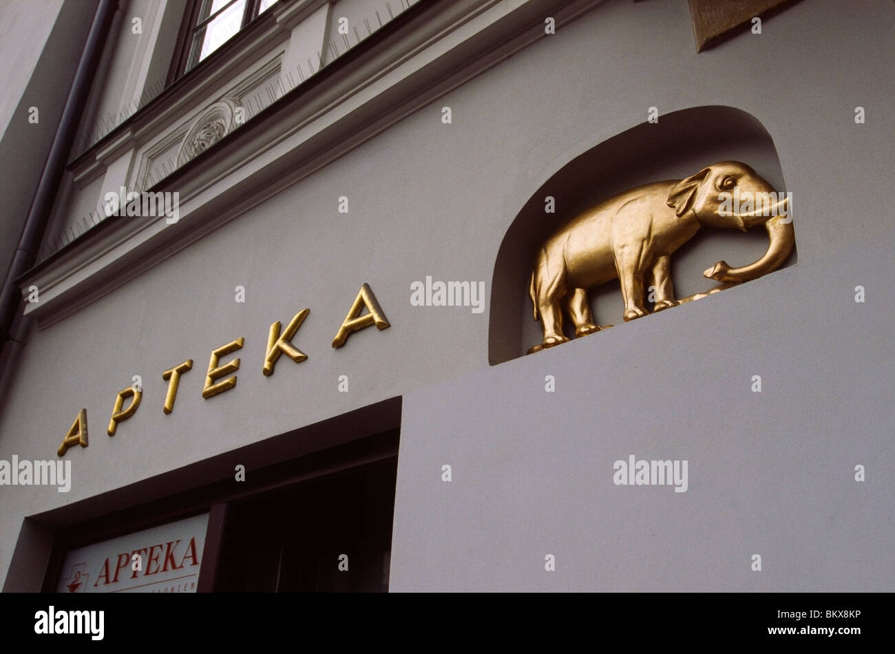 Elephant slide hi-res stock photography and images - Alamy