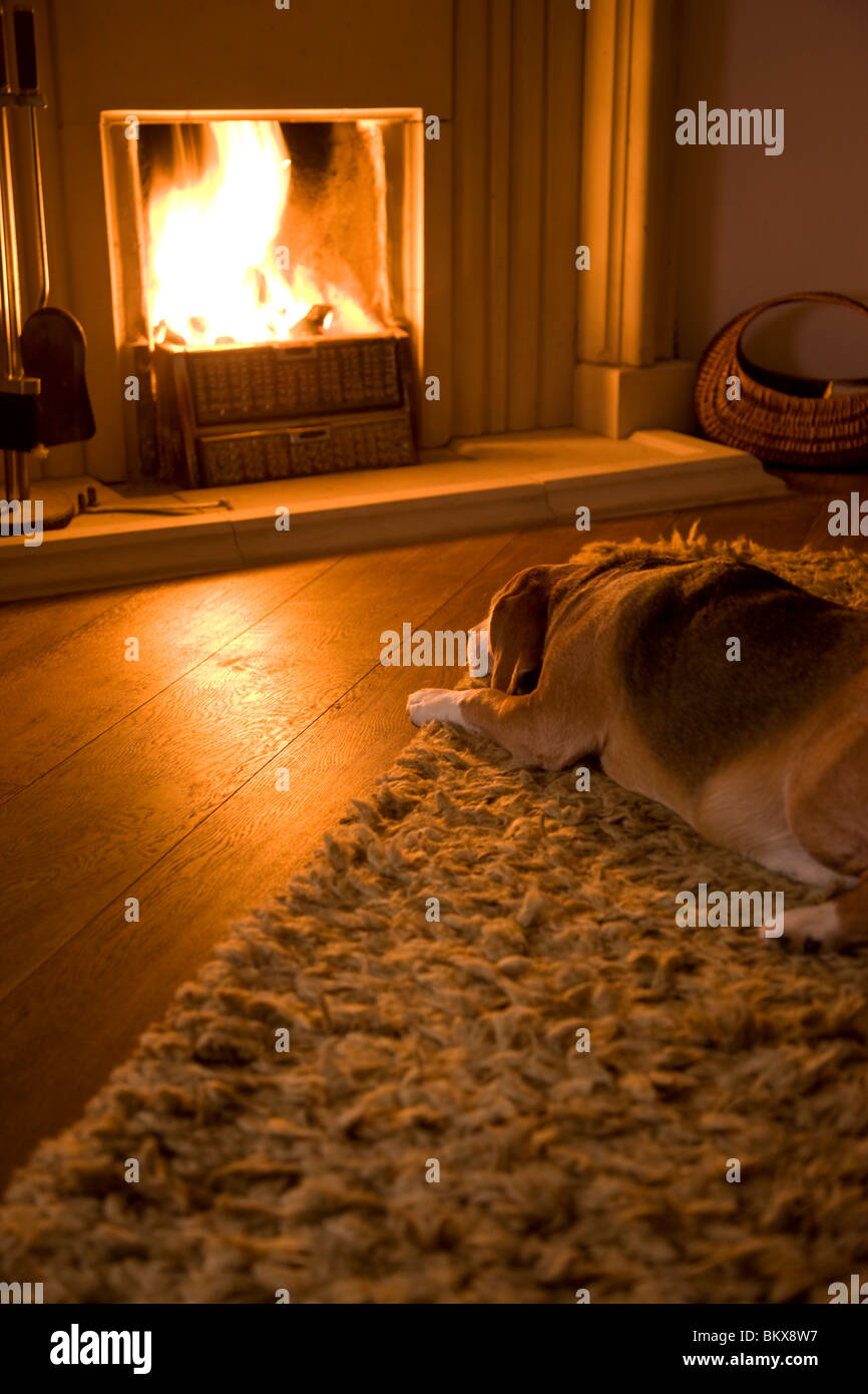 Lighted fire in fireplace in hi-res stock photography and images - Alamy