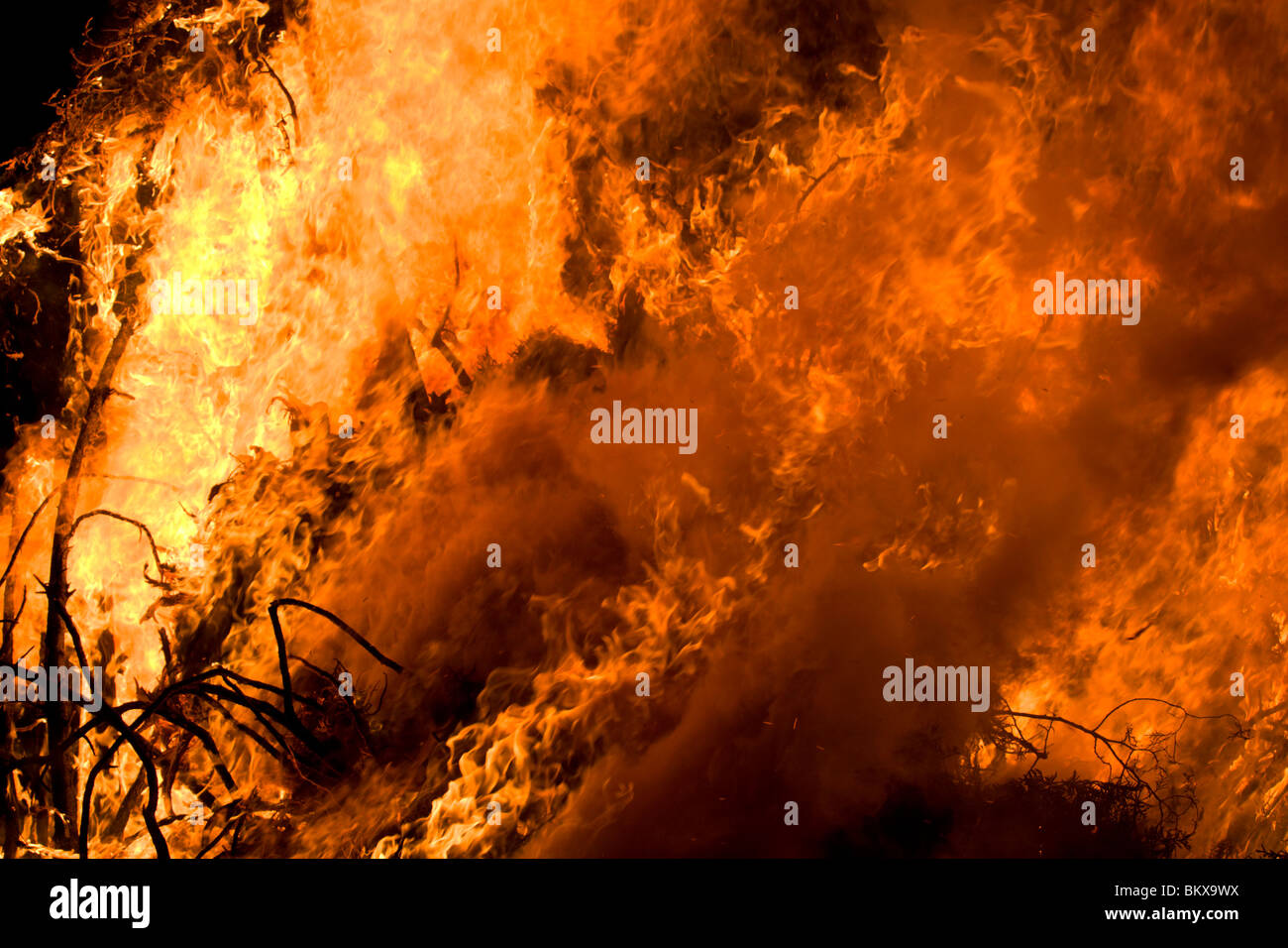 Closeup of the blazing fire of dry forest Stock Photo - Alamy