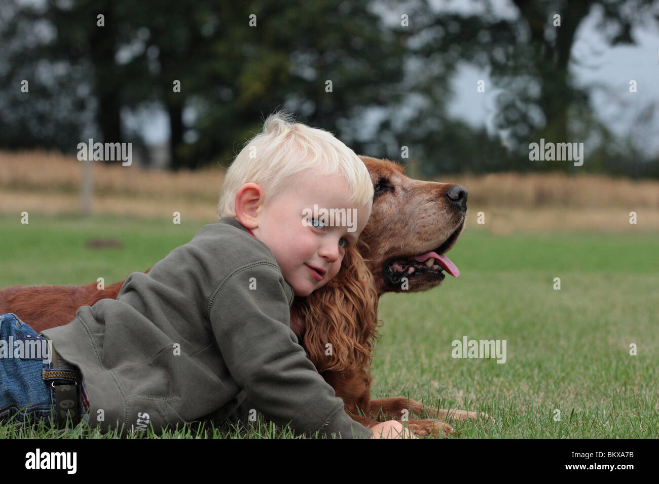 boy and Cocker Spaniel Stock Photo - Alamy