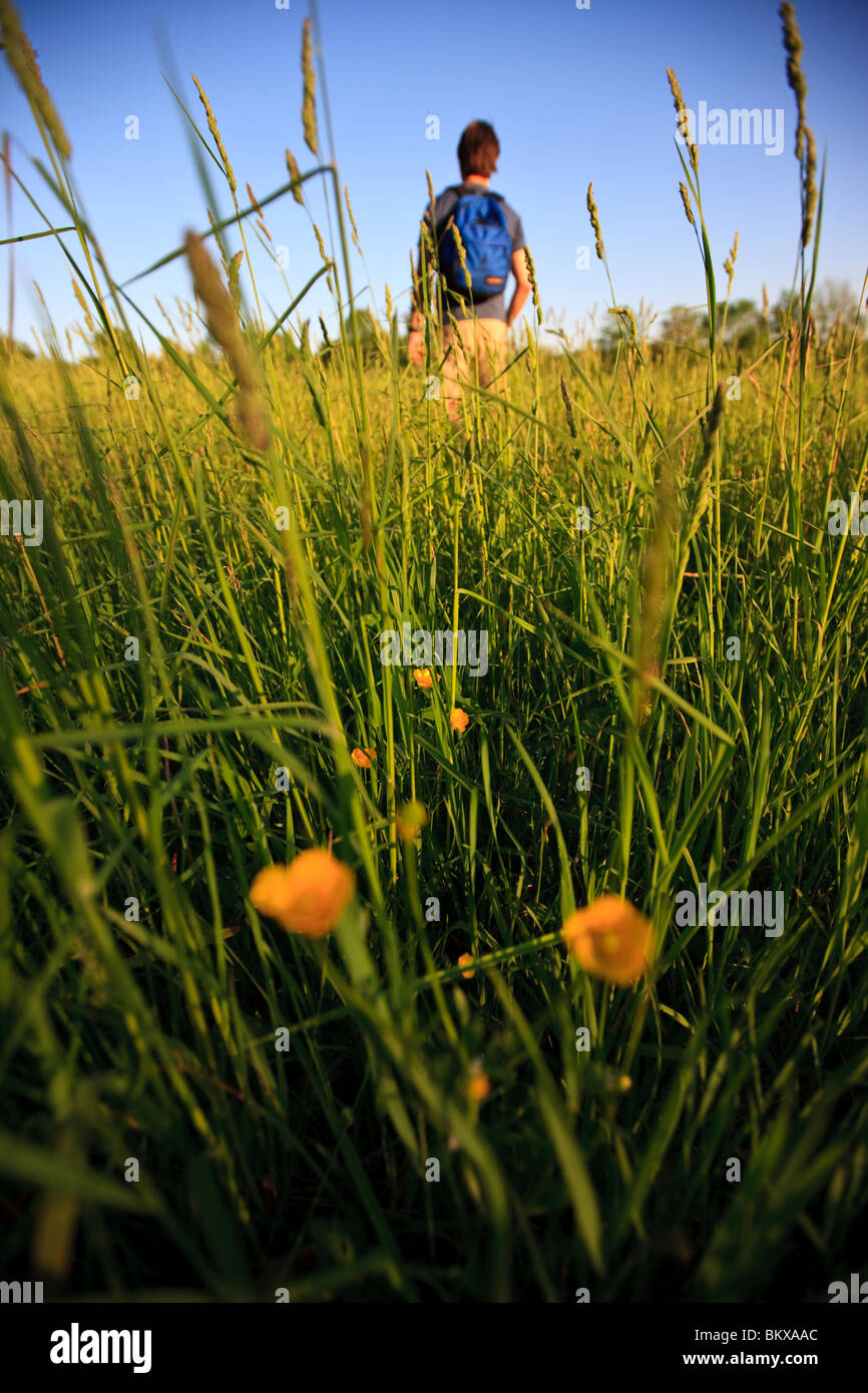 A man walks through a hay field at Raspberry Farm in Hampton Falls, New ...