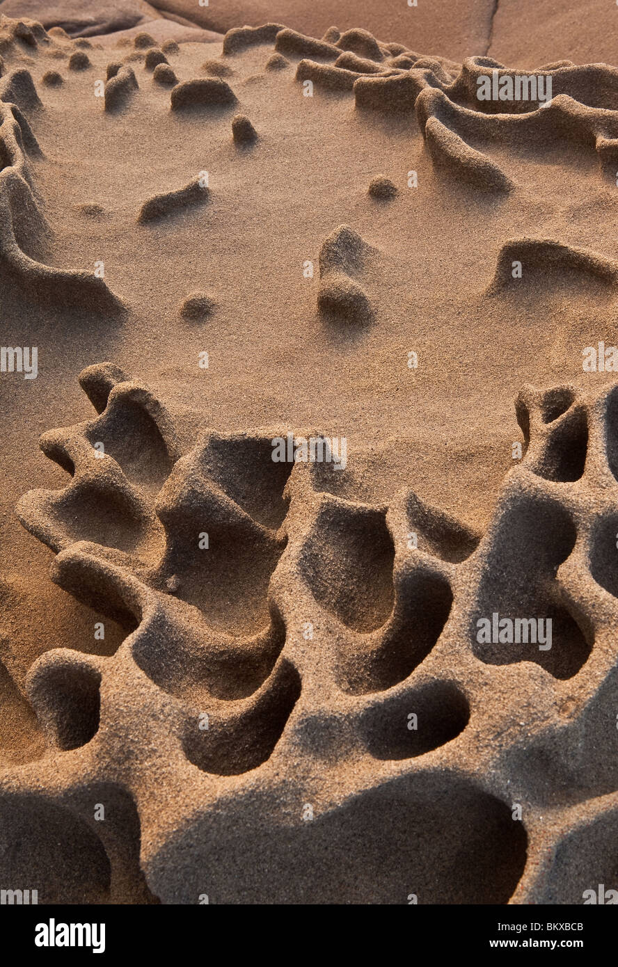 The shapes and structures of Sandstone cliffs on the Californian coast ...