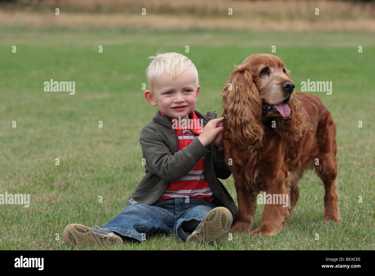 boy and Cocker Spaniel Stock Photo - Alamy