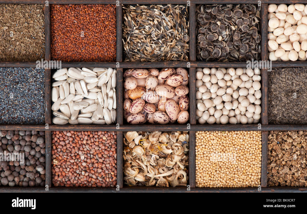 Selection of Vegetable and flower seeds in a wooden tray. Flat lay ...