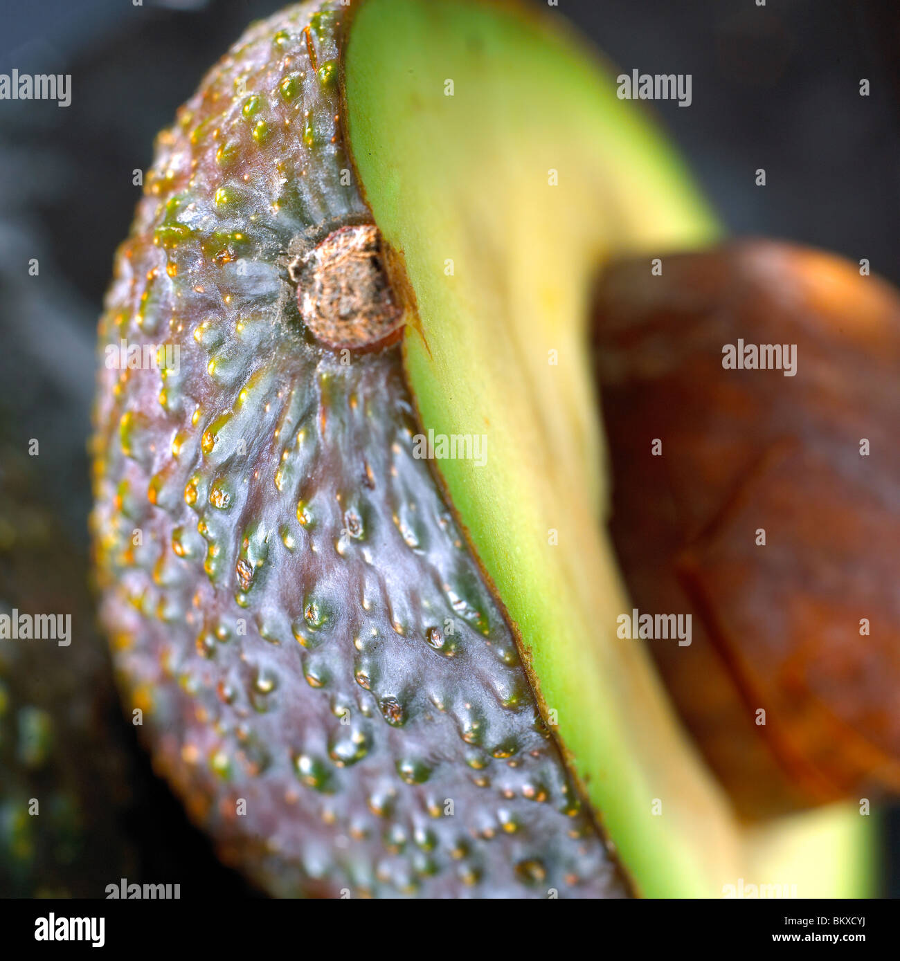 Avocado hi-res stock photography and images - Alamy