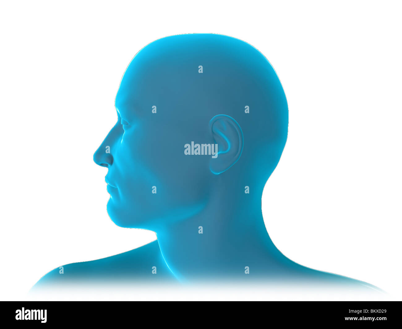 Stylized male figure hi-res stock photography and images - Alamy