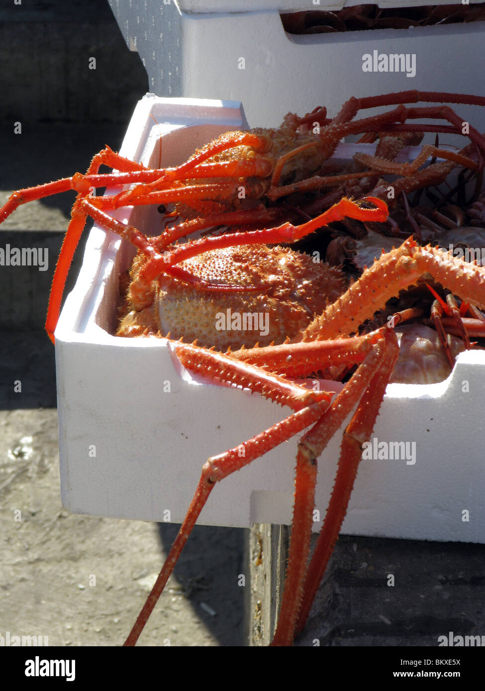 Box of crab legs hi-res stock photography and images - Alamy