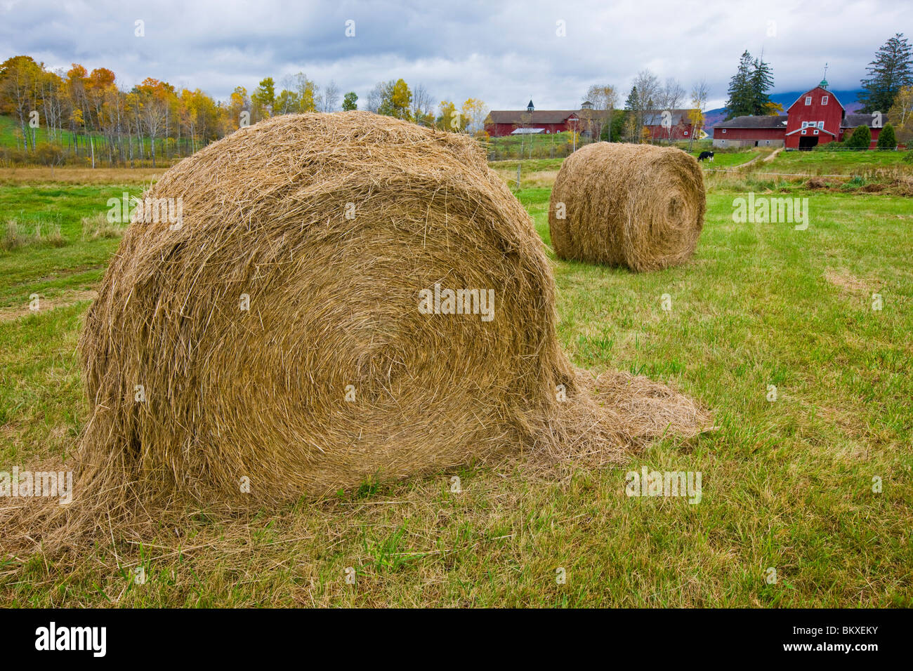Vermont scenic farming barn farming hi-res stock photography and images ...