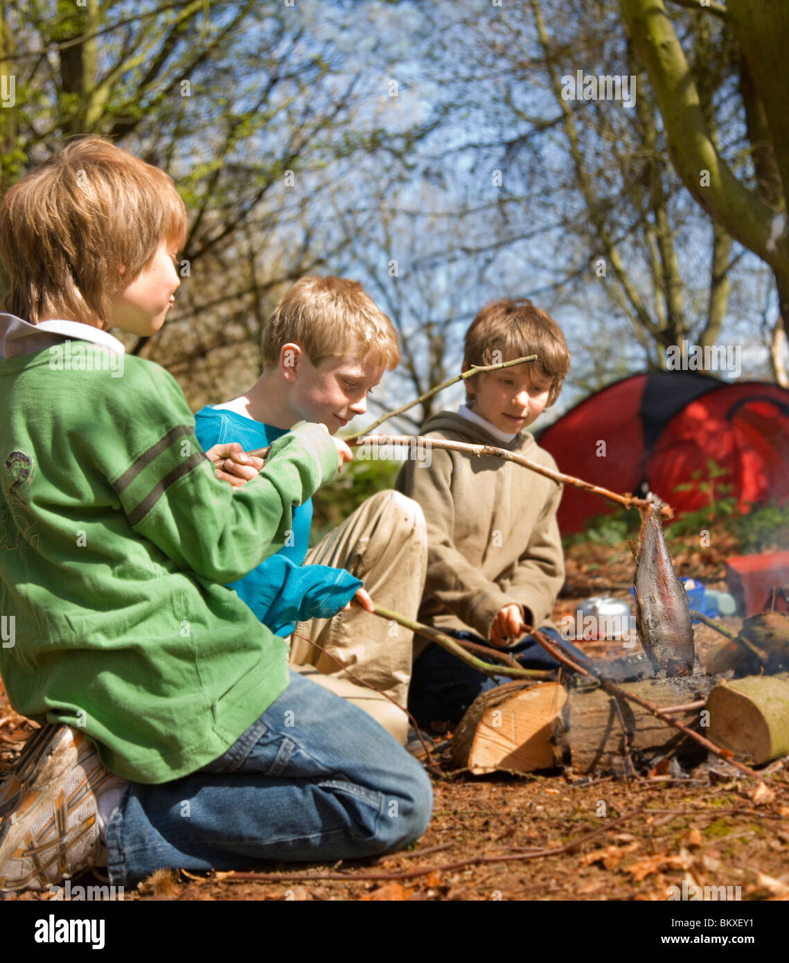 Campfire cooking child not sausages hi-res stock photography and images ...