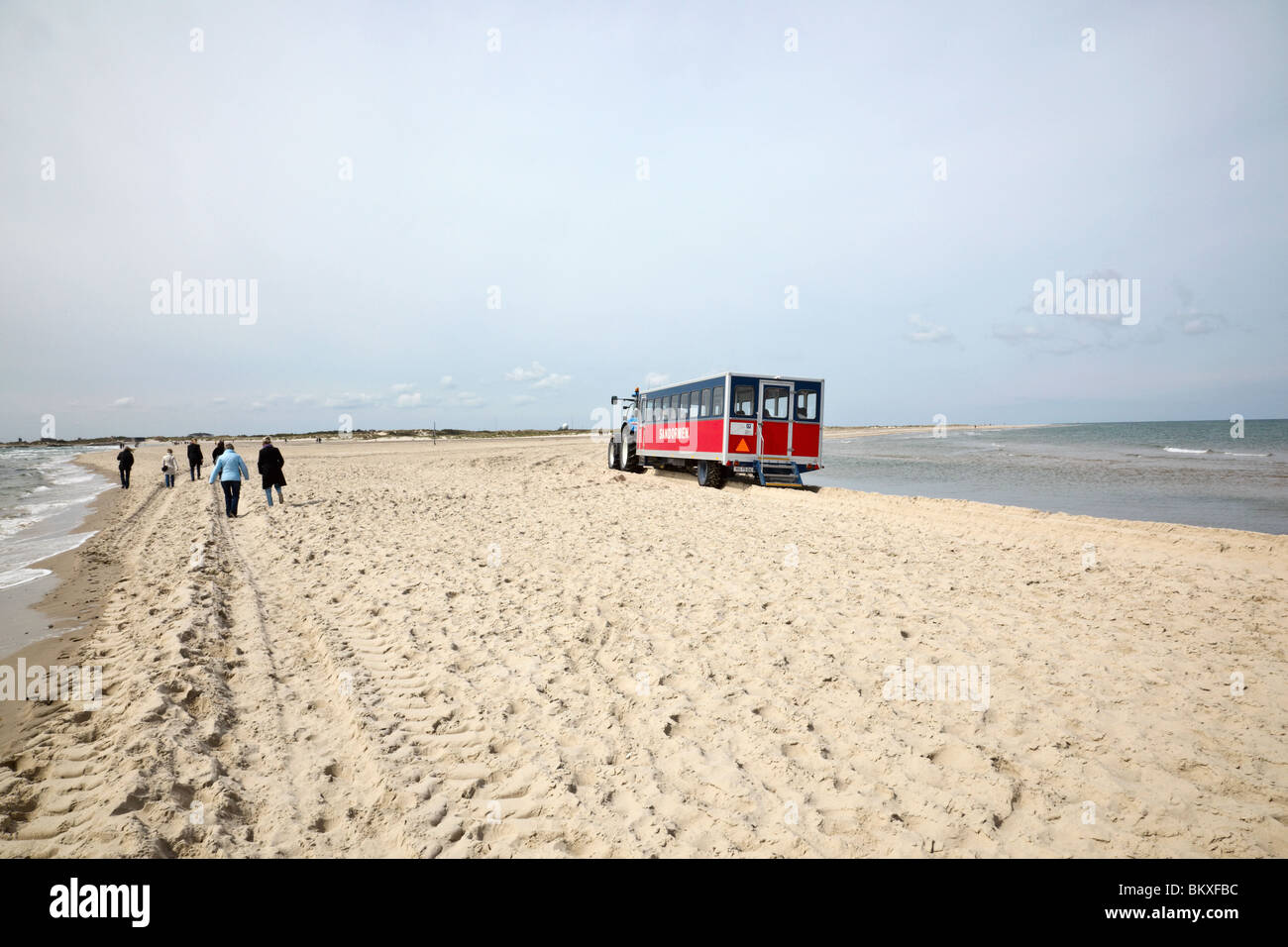 Sand Snake (Sandormen) a tractor bus at the branch at Skagen in Denmark ...