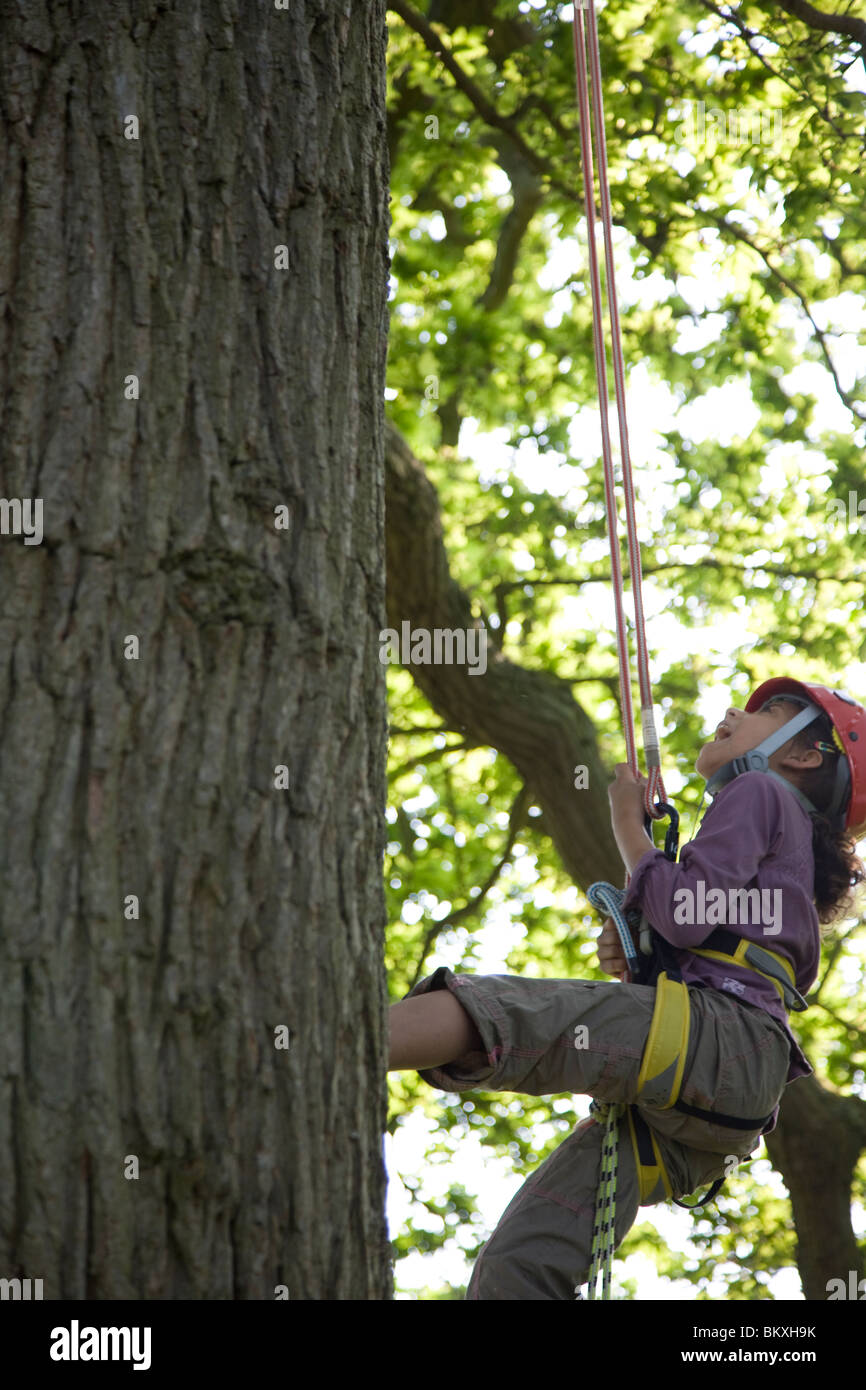 Hanging onto tree hi-res stock photography and images - Alamy