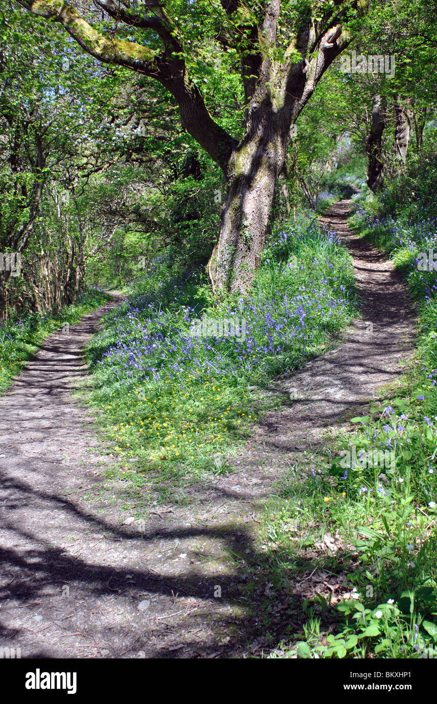 The welsh wildlife centre, cilgerran hi-res stock photography and ...