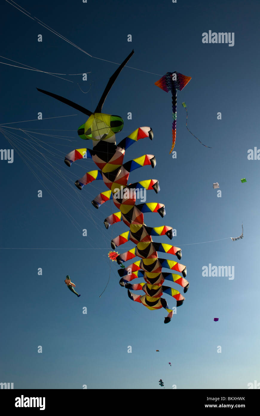 Kite caterpillar hi-res stock photography and images - Alamy