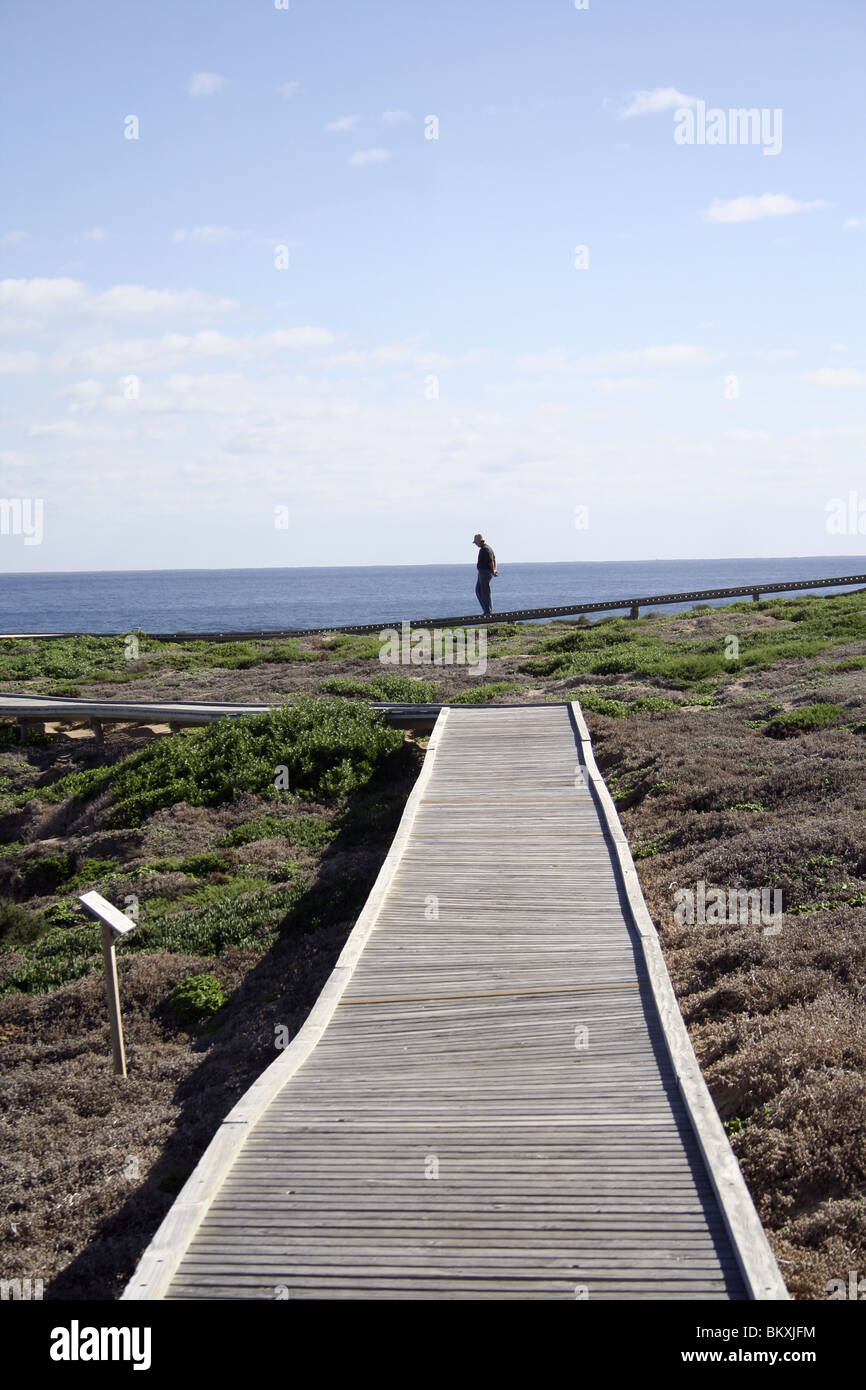 decked path on rottnest island, leading to a lone single figure at the ...