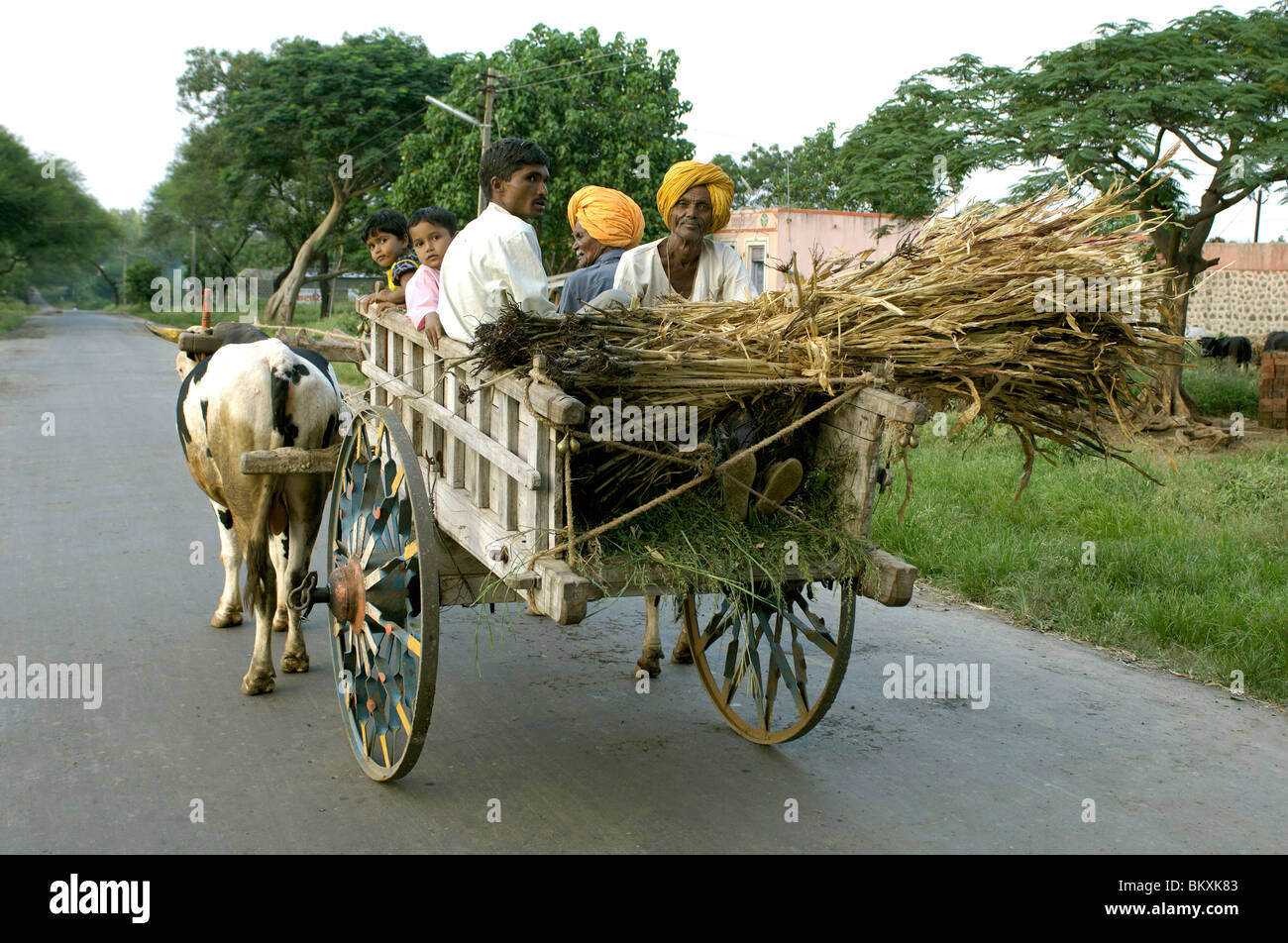 Villagers with their bullock cart at Ralegan Siddhi near Pune ...