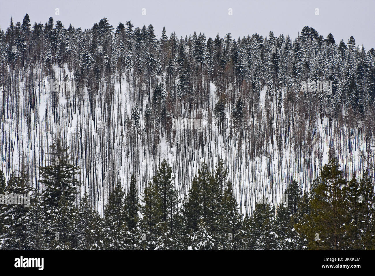 Angora ridge hi-res stock photography and images - Alamy