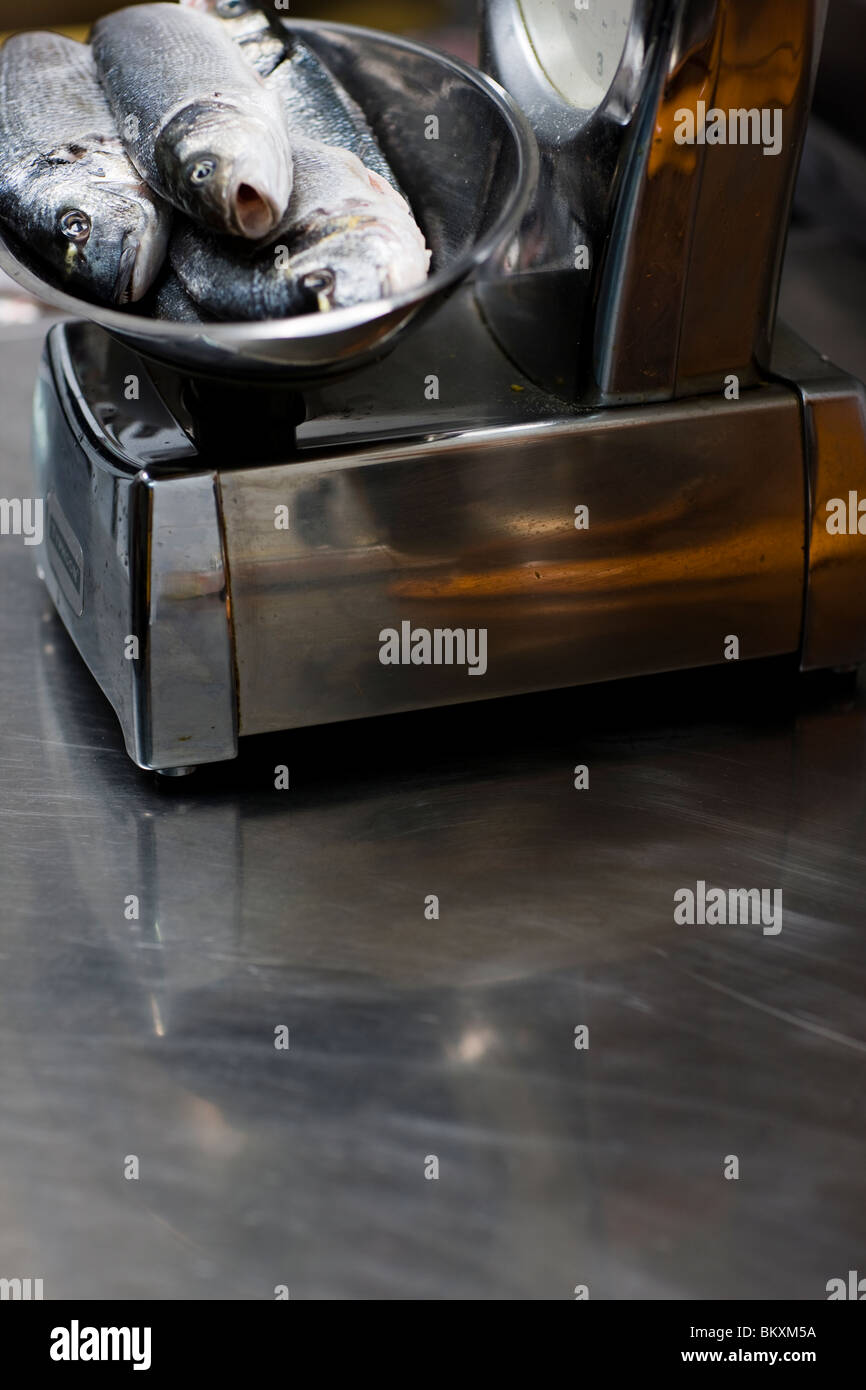 Reflective scales hi-res stock photography and images - Alamy