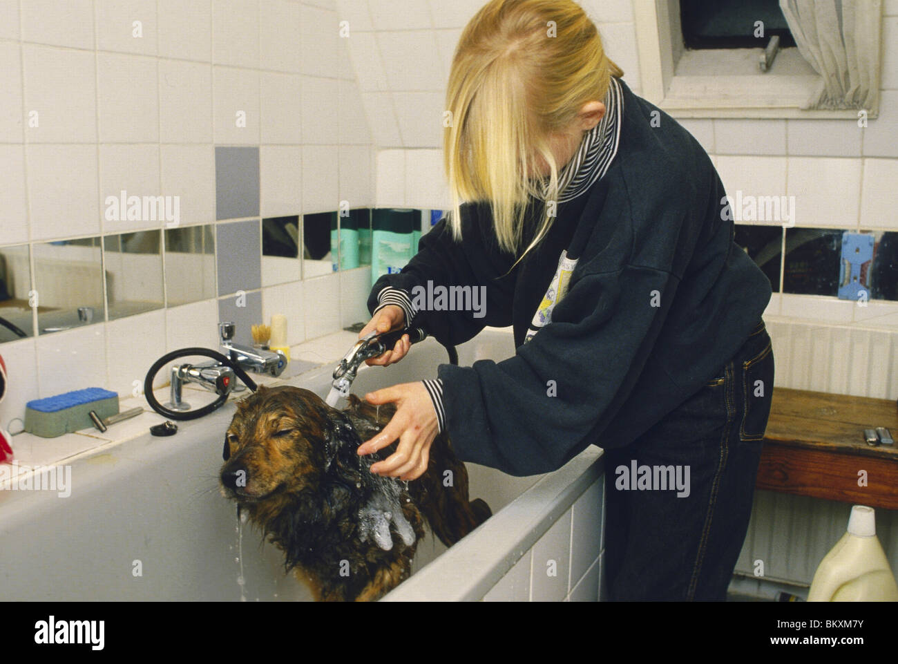 Children wash dog hi-res stock photography and images - Alamy