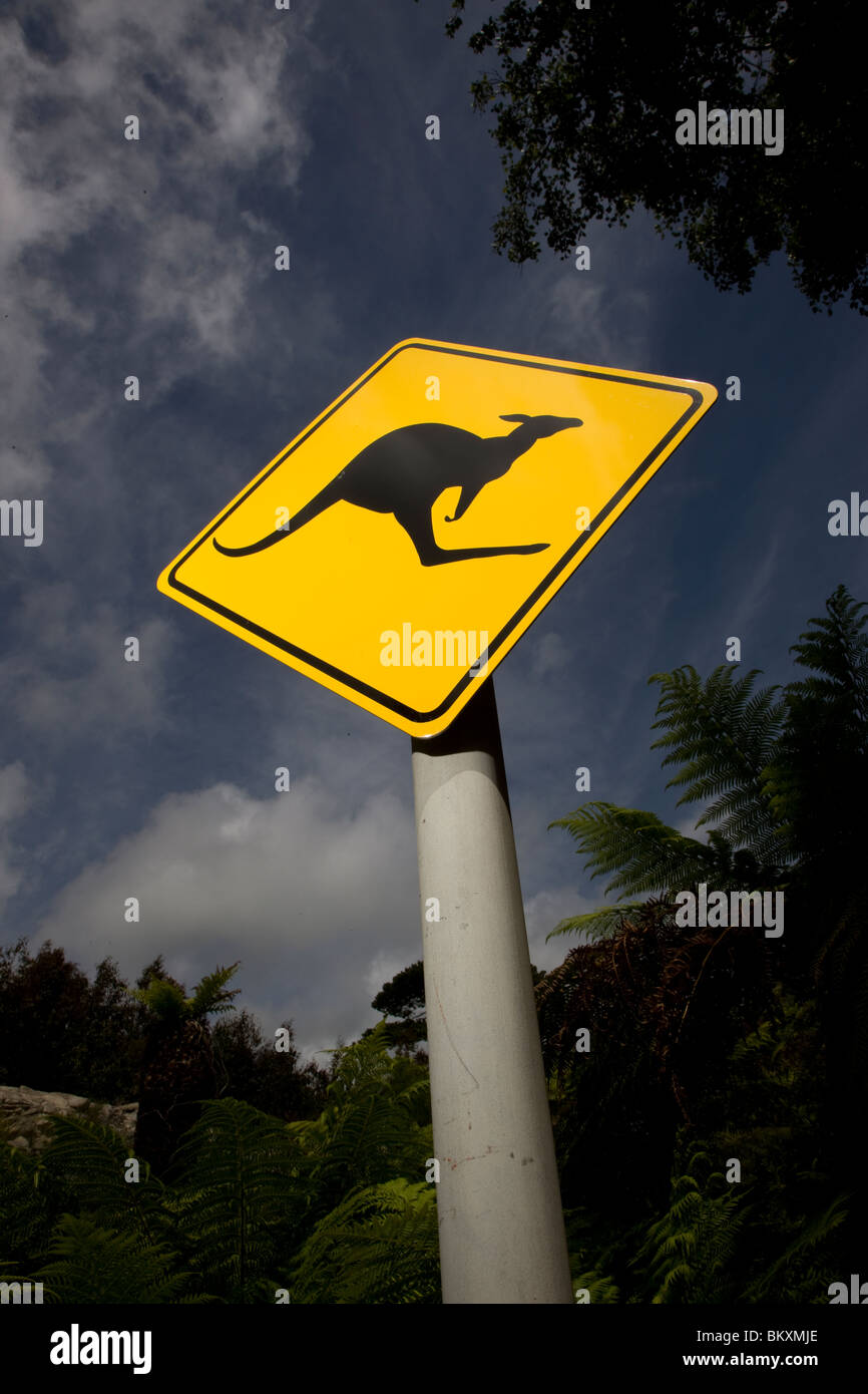 Kangaroo animal crossing sign hi-res stock photography and images - Alamy