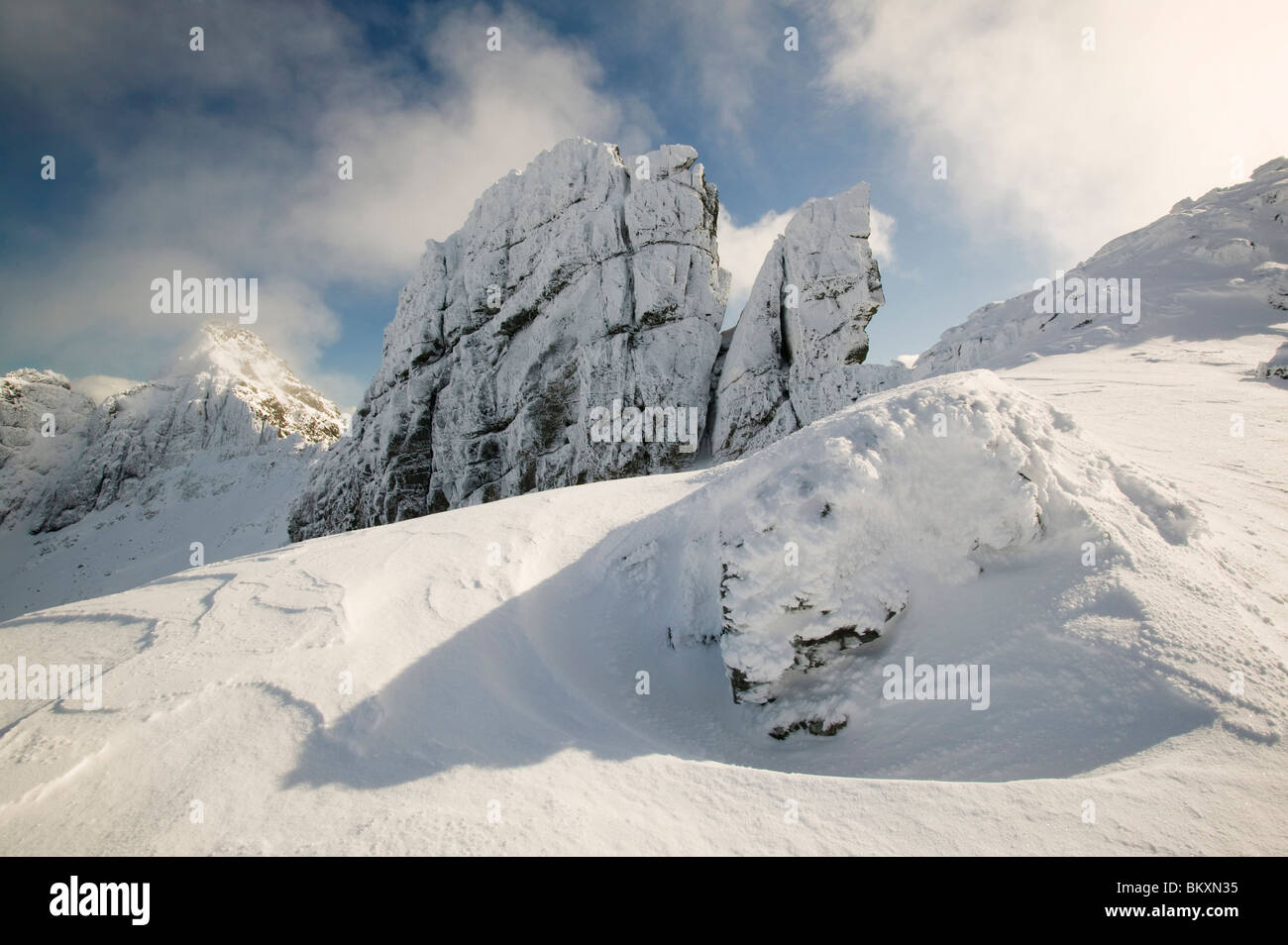 Basteir tooth hi-res stock photography and images - Alamy