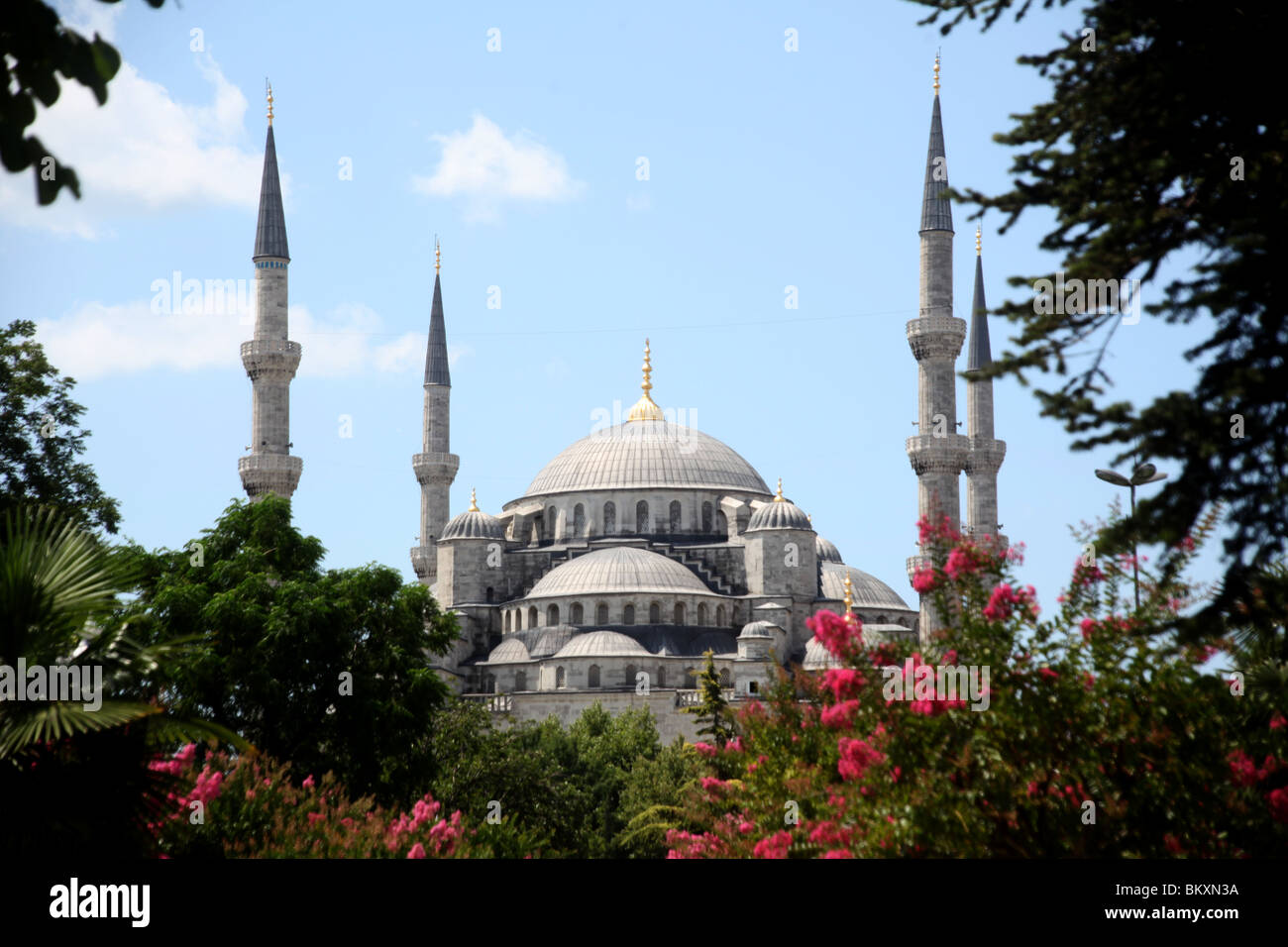 Istanbul turkey blue mosque tiles hi-res stock photography and images ...