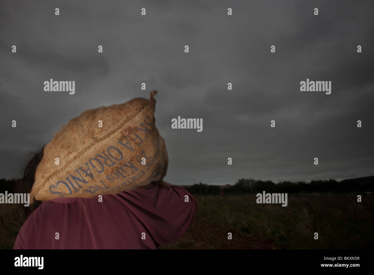 Man carrying sack on his back hi-res stock photography and images - Alamy