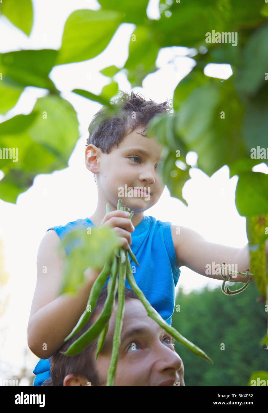Bean Boy High Resolution Stock Photography and Images - Alamy