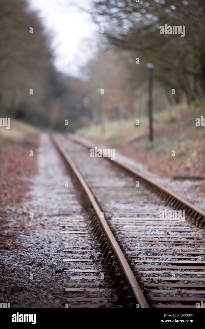 Tree lined train tracks hi-res stock photography and images - Alamy