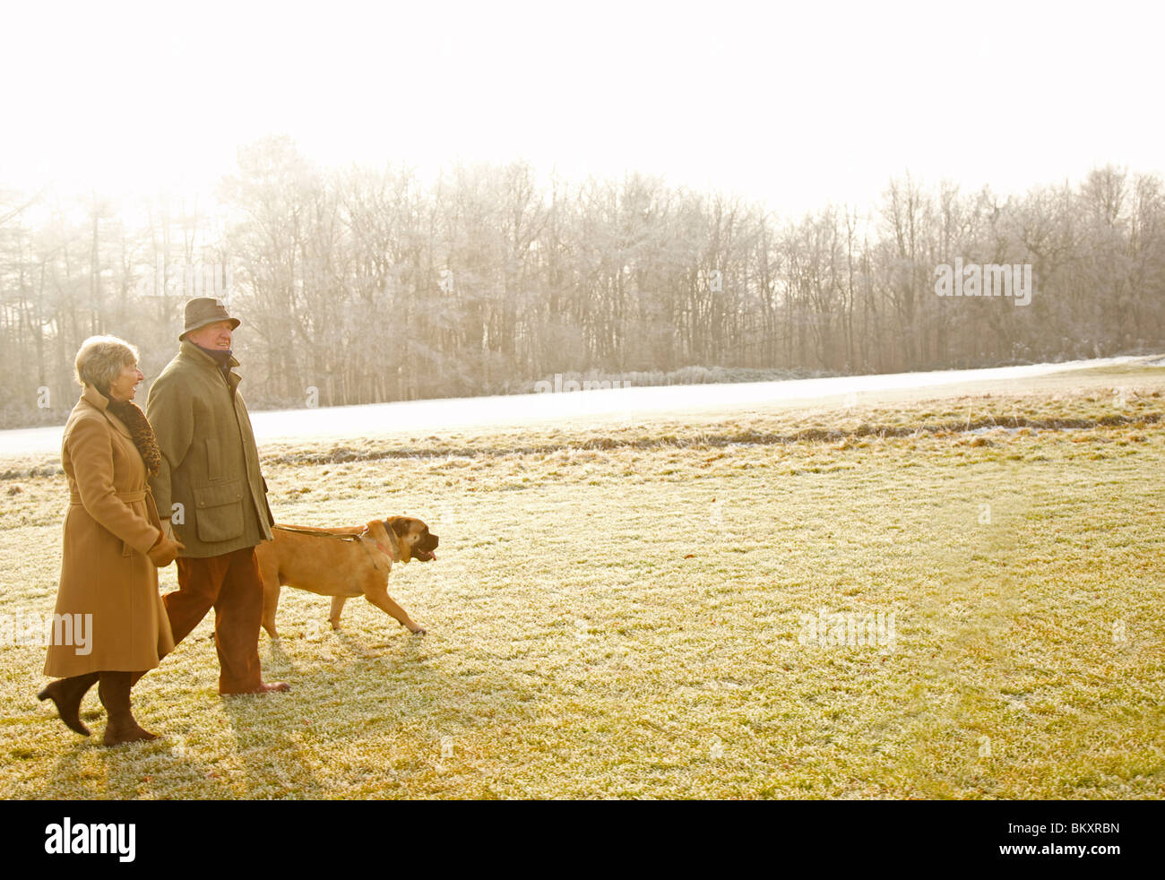 Side profile of man walking with dog in the park hi-res stock photography and images - Alamy