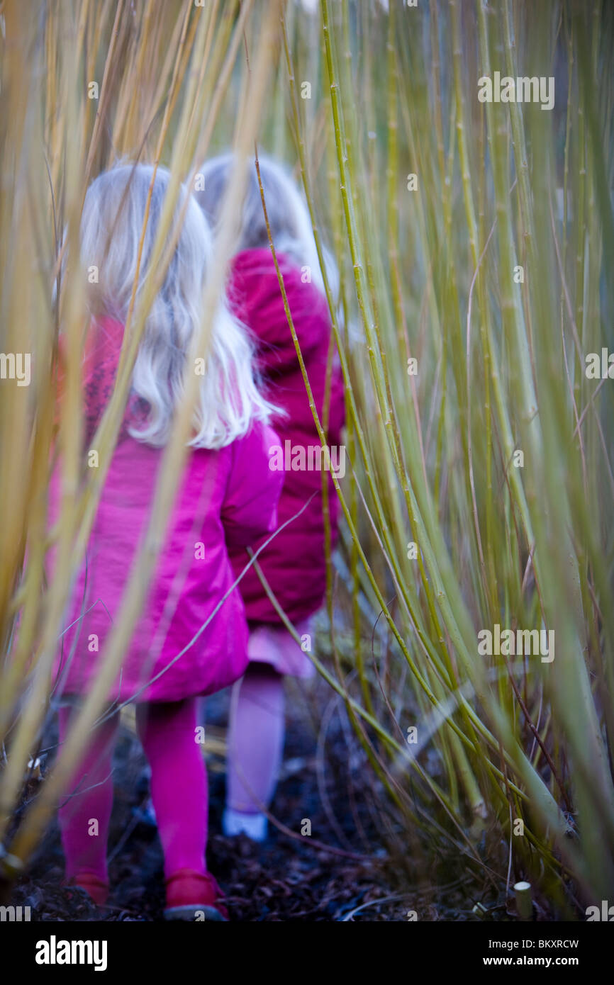 Little twigs hi-res stock photography and images - Alamy
