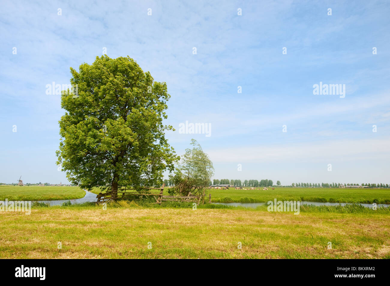 Alblasserwaard hi-res stock photography and images - Alamy