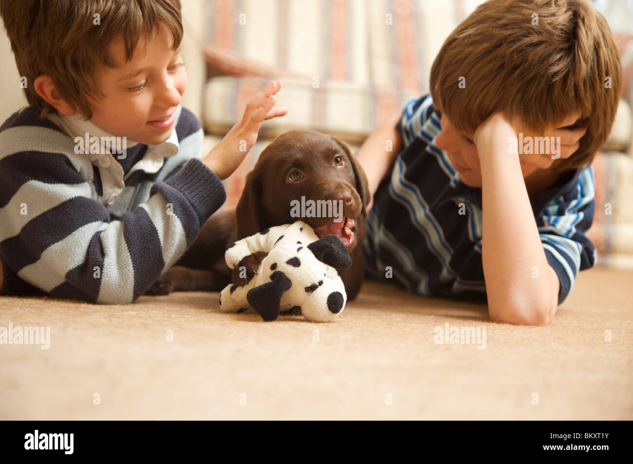 Children looking after animals hi-res stock photography and images - Alamy