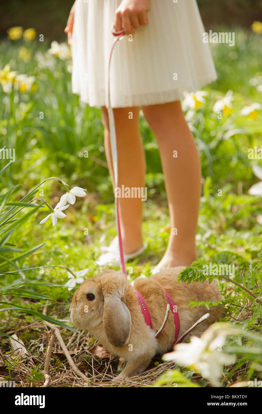 Child Rabbit Lead High Resolution Stock Photography and Images - Alamy