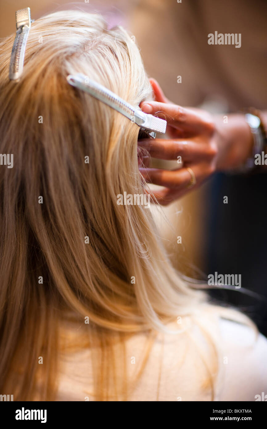 Back view of woman head with sectioning clips Stock Photo - Alamy