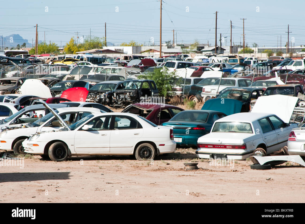 cars in a salvage yard being used to recycle parts Stock Photo - Alamy